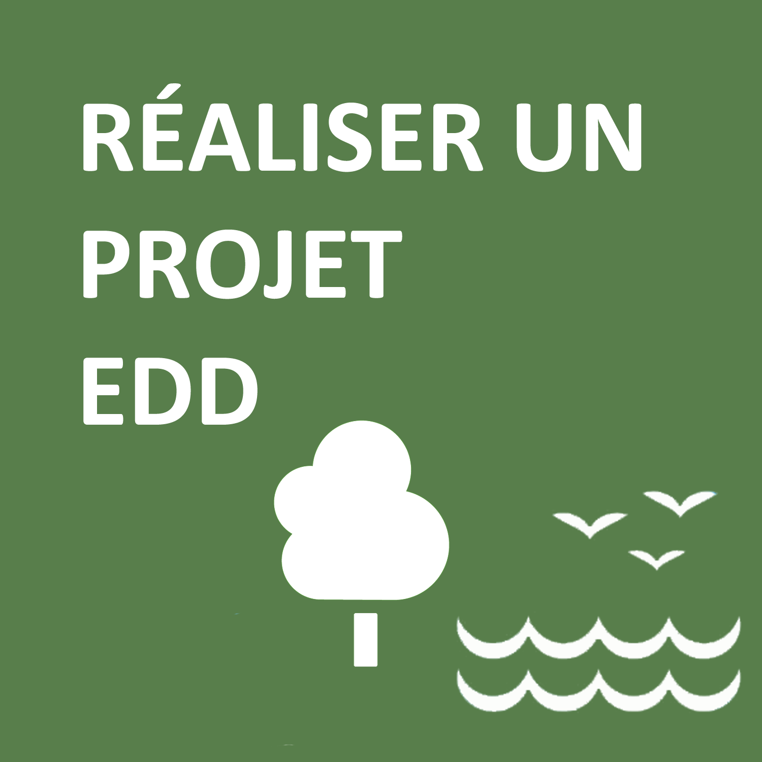 Réaliser un projet EDD (Sciences-Technologie-EDD) | DSDEN 83