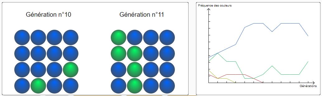 Modèles numériques pour étudier la dérive génétique (version haploïde ...