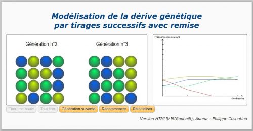 Modèles numériques pour étudier la dérive génétique (version haploïde ...