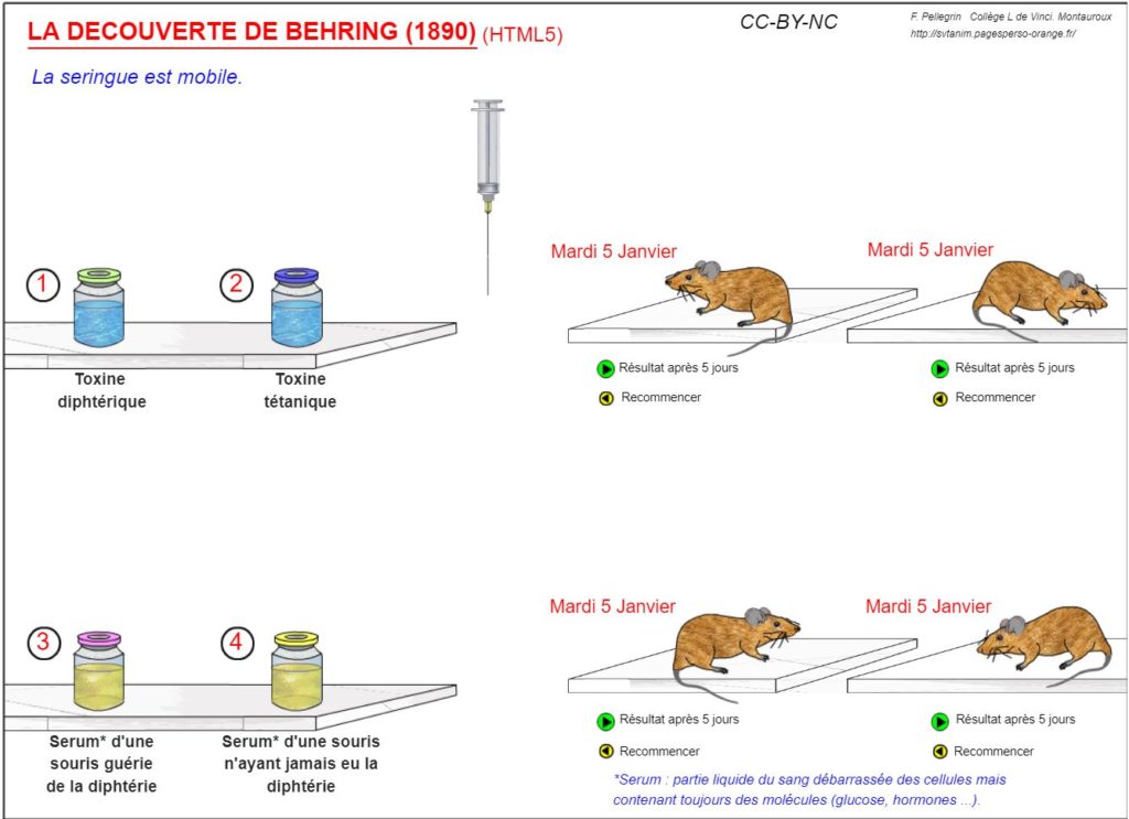 Animation Flash : « La découverte de Behring (sérothérapie ...