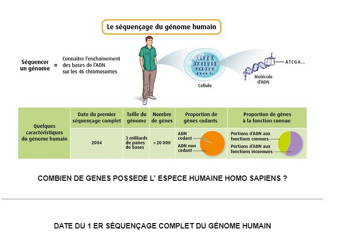 Enquête sur le génome – Sciences de la Vie et de la Terre