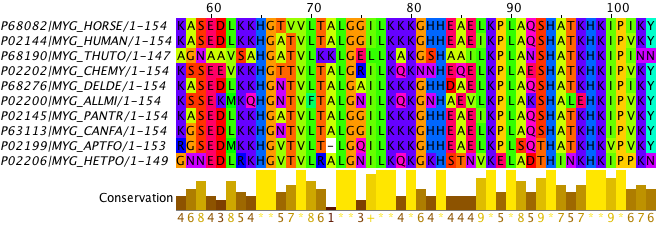 Conservation des acides aminés de la myoglobine avec Jalview