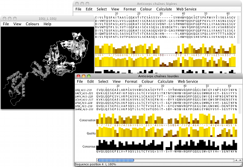 Gestion des fichiers avec le logiciel Jalview
